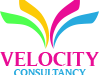 Velocity Consultancy – employee tracking